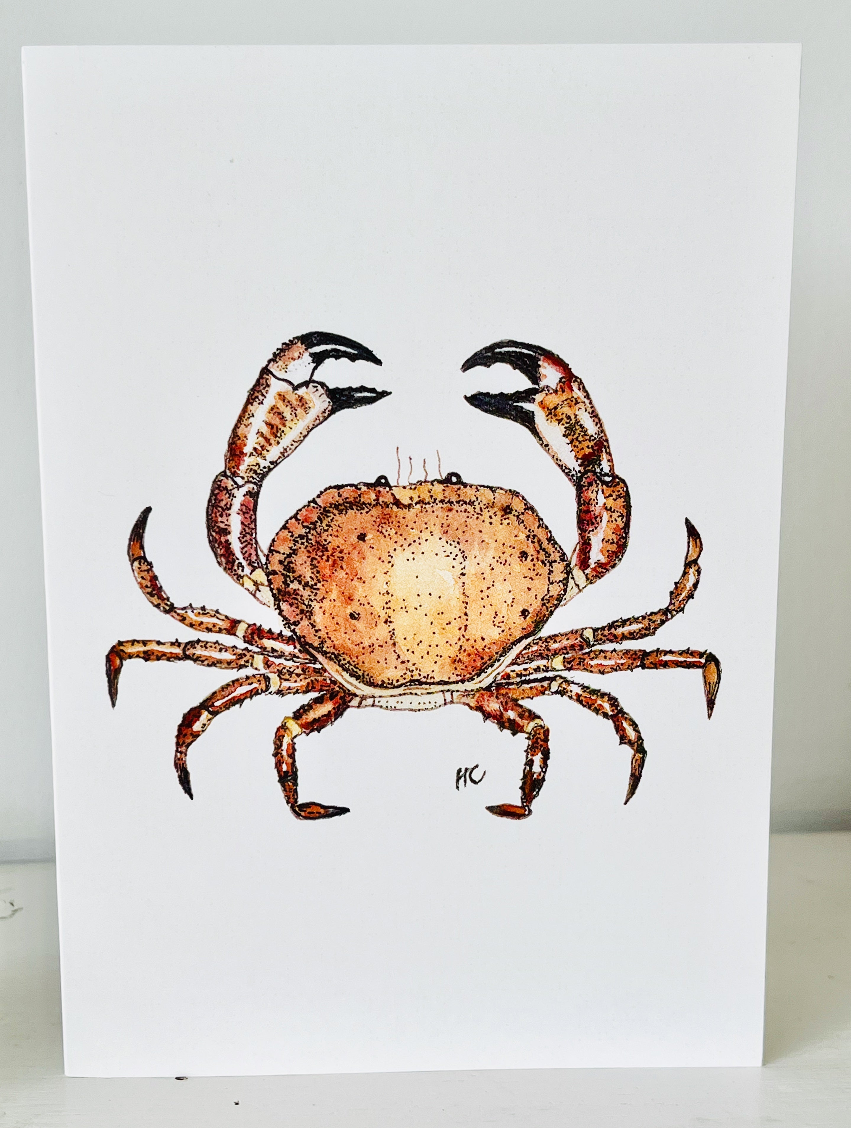 Salcombe Crab Greetings Card. – KCB Jewellery